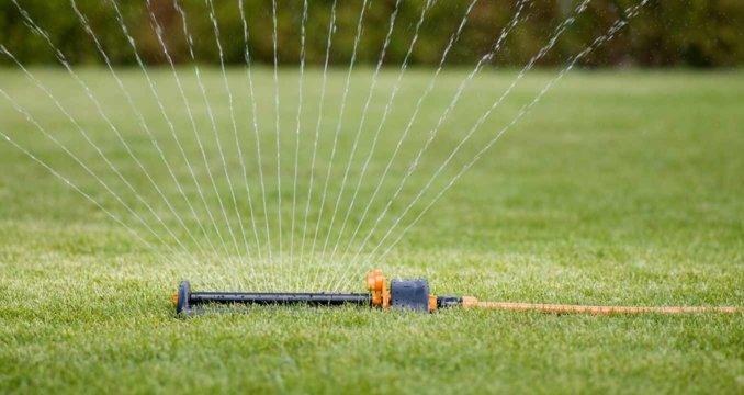 Welke Fiskars Sproeier is geschikt voor mijn tuin? – keizers.nu